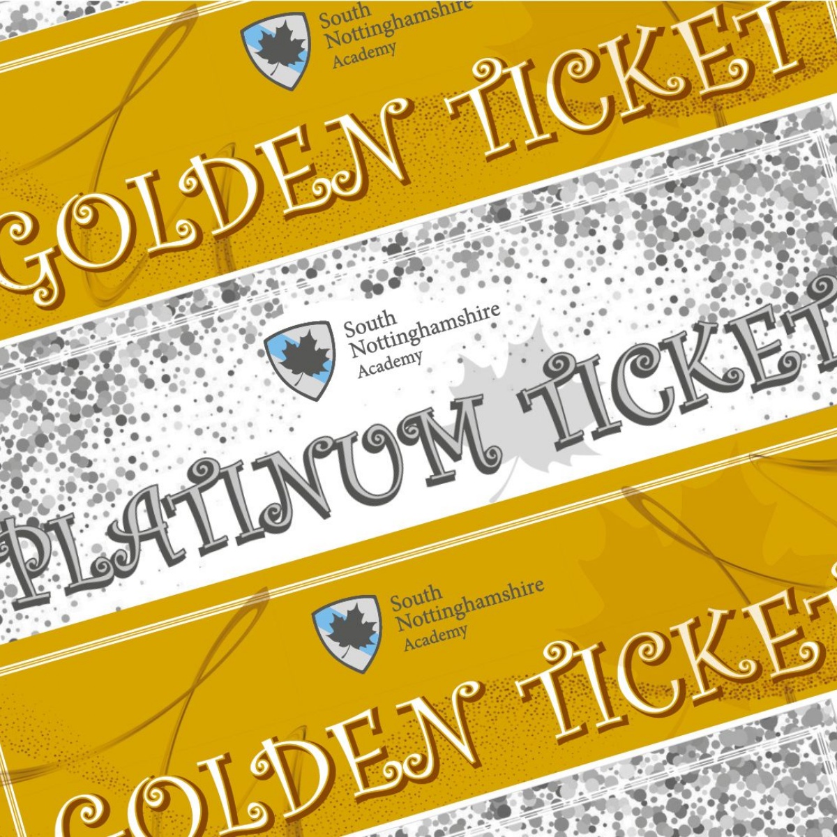 South Nottinghamshire Academy - Attendance Matters!